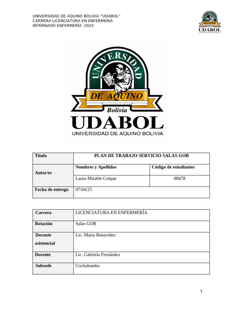 Plan de Trabajo Udabol Laura Gob | PDF | Hospital | Enfermería