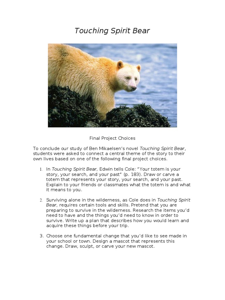Touching Spirit Bear Project Ideas | PDF | General Fiction