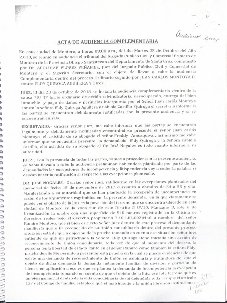 Acta de Audiencia Complementaria | PDF