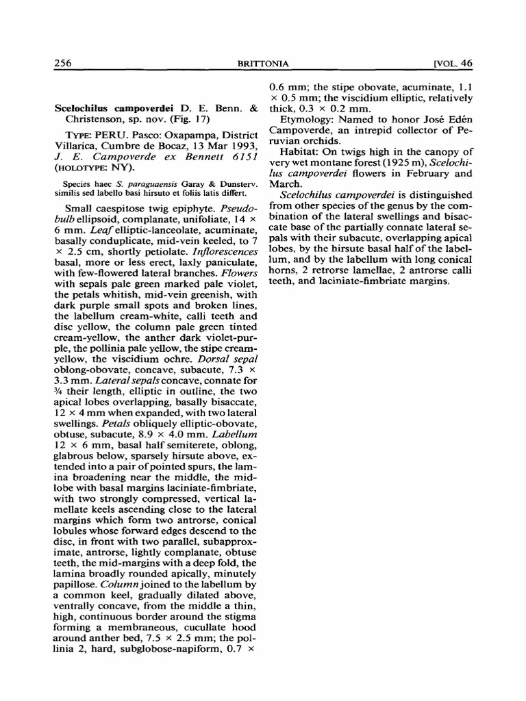 Scelochilus campoverdei PROT | PDF