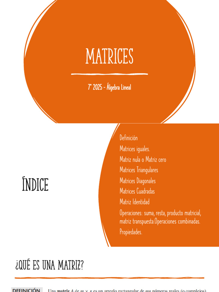 01 Clase 1 - Matrices | PDF