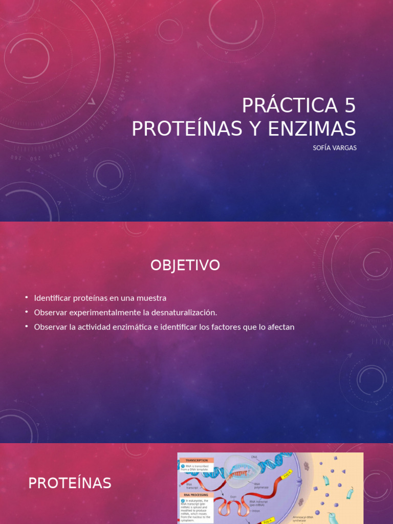 Práctica 4 proteínas y enzimas | PDF