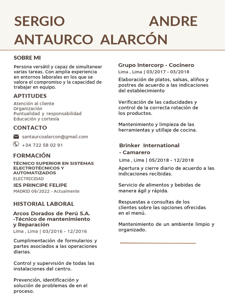 Currículum Vitae - Andre | PDF