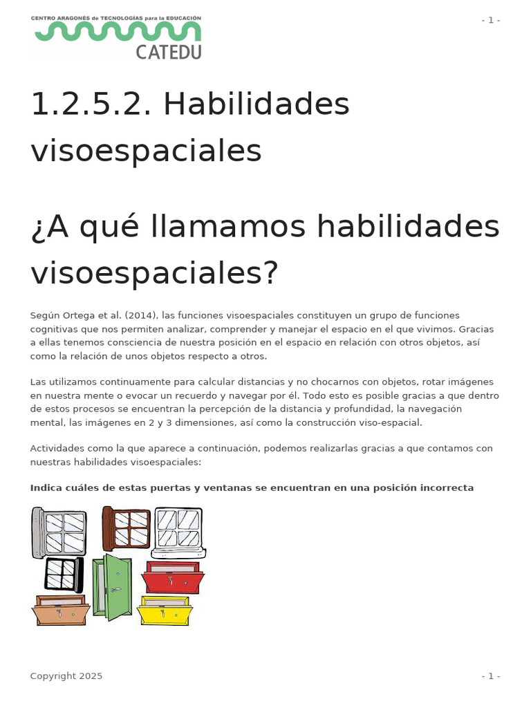 1252 Habilidades Visoespaciales | PDF | Mente | Aprendizaje