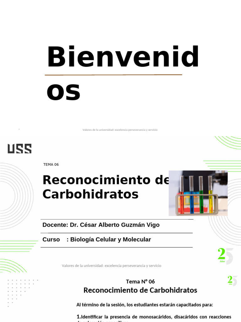 Practica 06 Reconocimiento de Carbohidratos | PDF | Carbohidratos | Redox