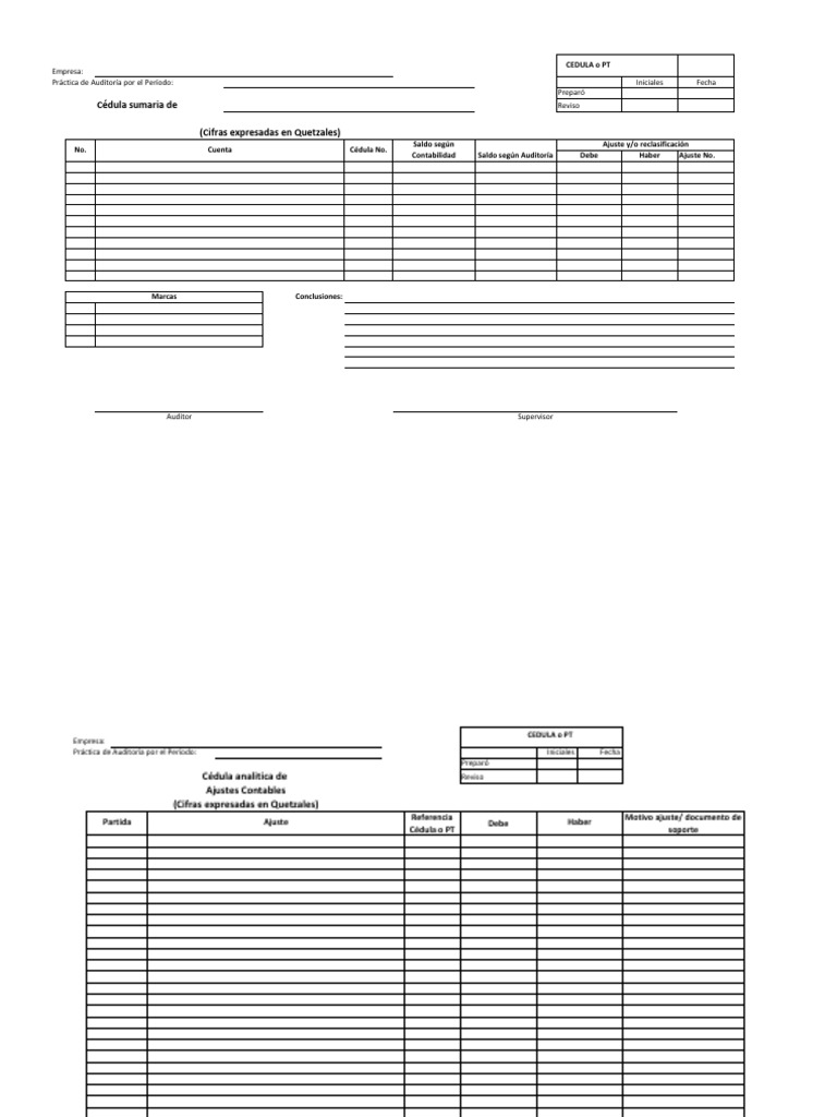 Formato Cedulas Wilber Santos | PDF | Auditoría | Contabilidad