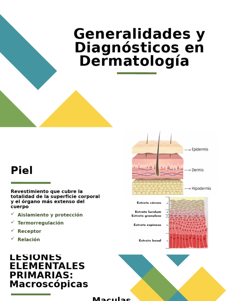 Lesion Derma | PDF | Piel | Epidermis