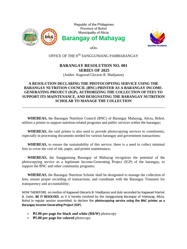 Barangay Nutrition Council Income Project | PDF