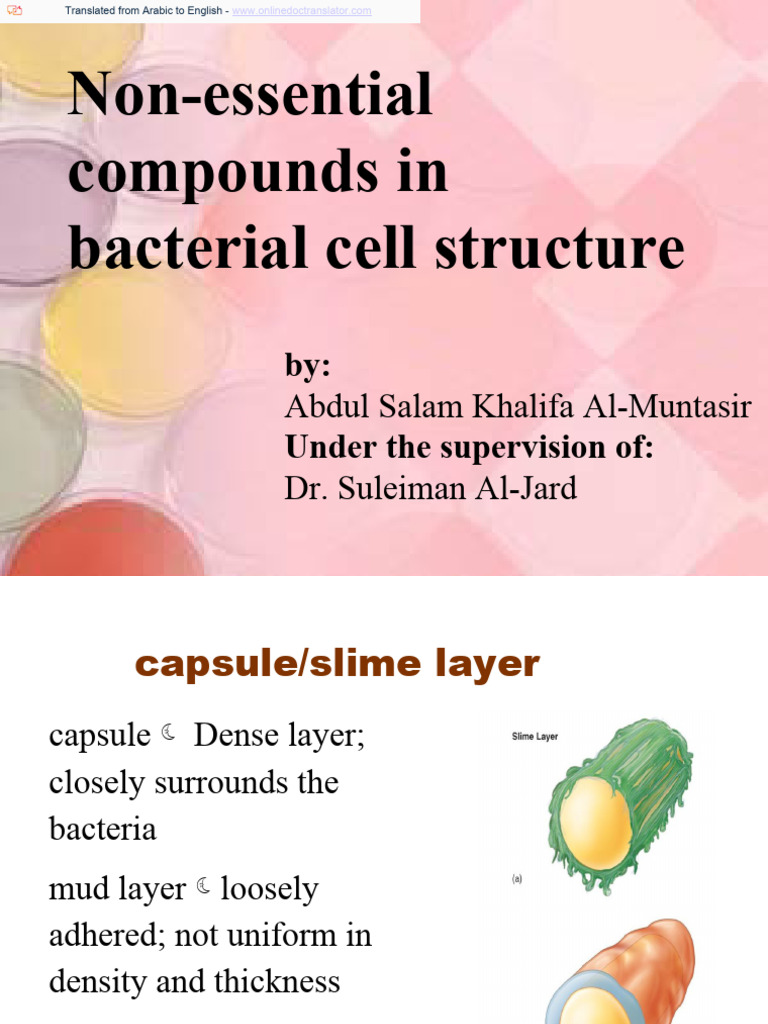 Bacterial Cell Structure: Non-Essential Components | PDF | Bacteria ...