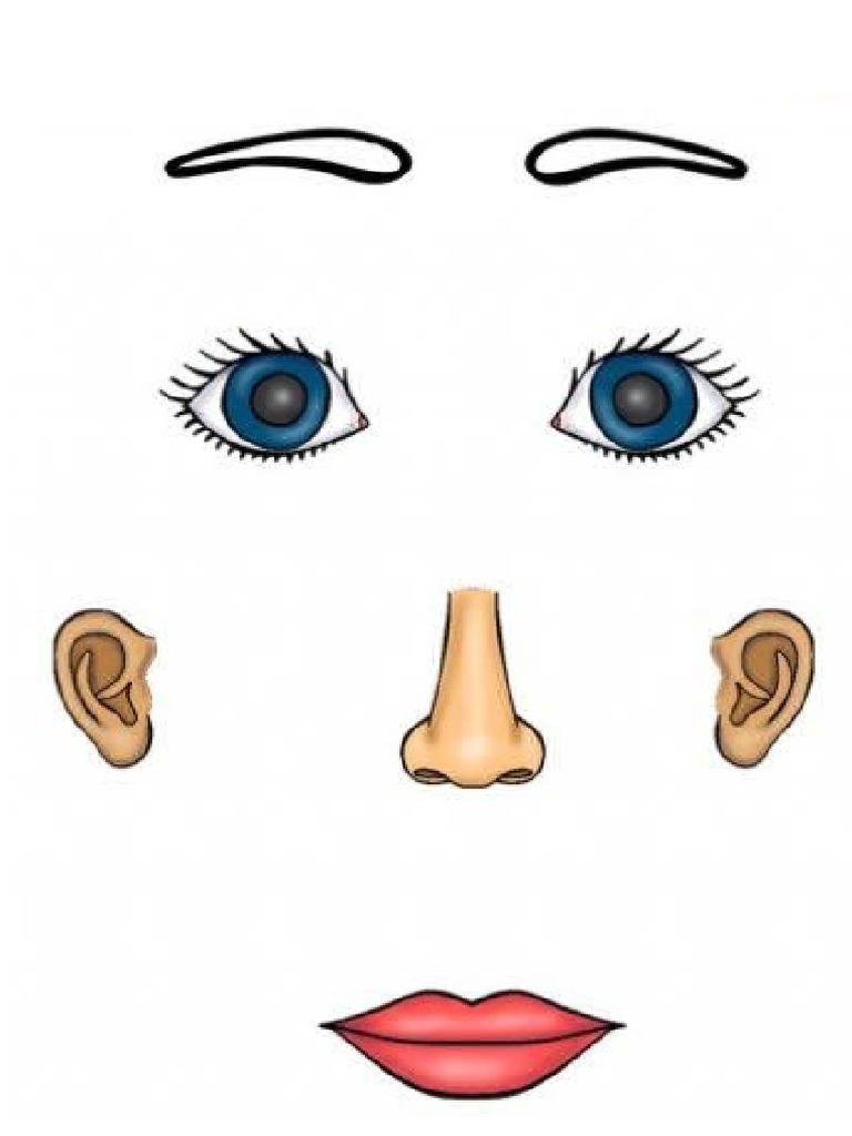 Ficha Sobre Las Partes de La Cara | PDF
