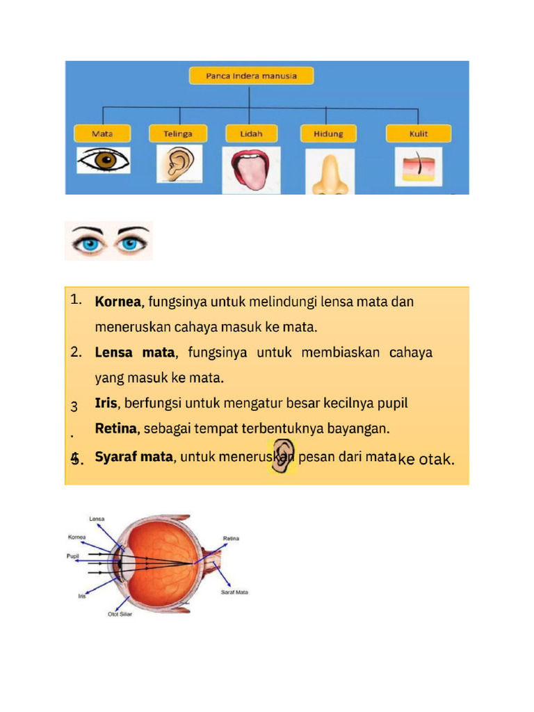 Gambar Modul | PDF