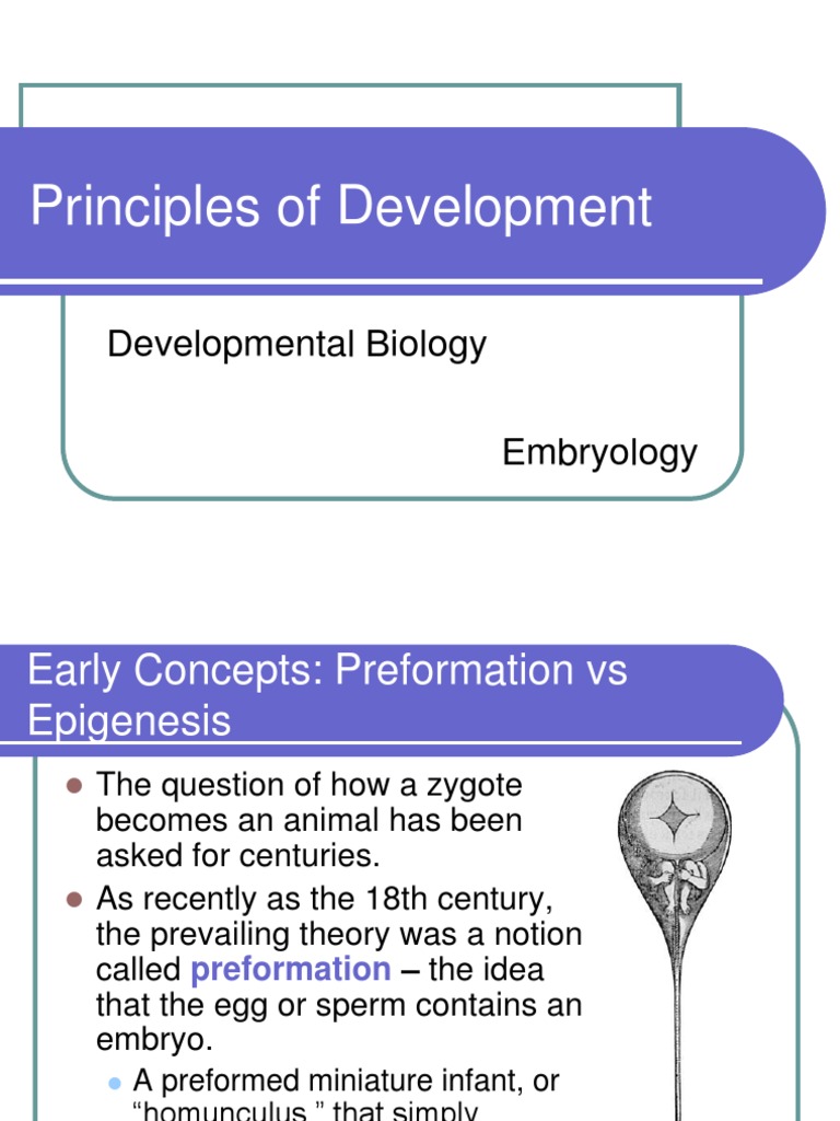Principles of Development: Developmental Biology | PDF | Fertilisation ...