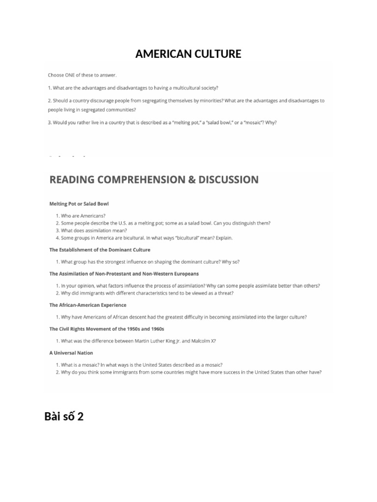 American Culture | PDF