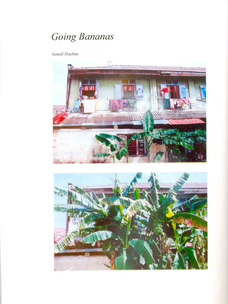 Sharan Strange - Ash | PDF