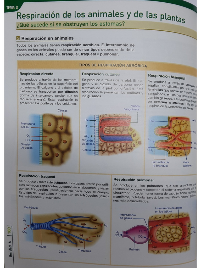 TapScanner 14-11-2024-14 44 | PDF