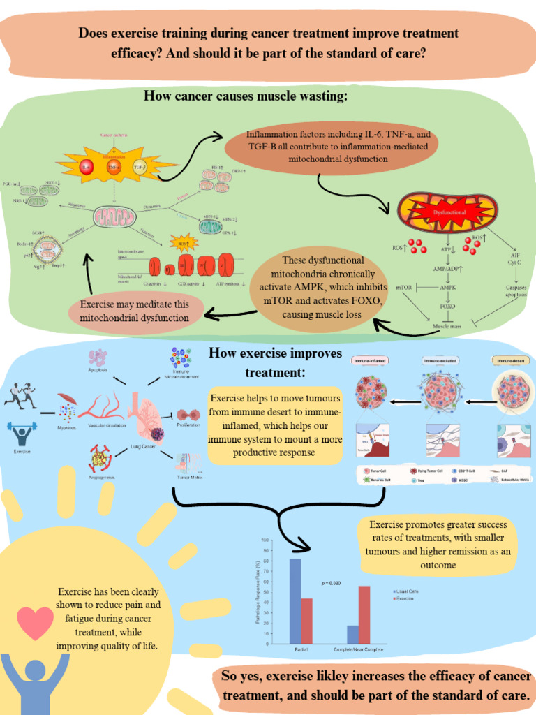 Inflammation Factors Including IL-6, TNF-a, and TGF-B All Contribute To ...