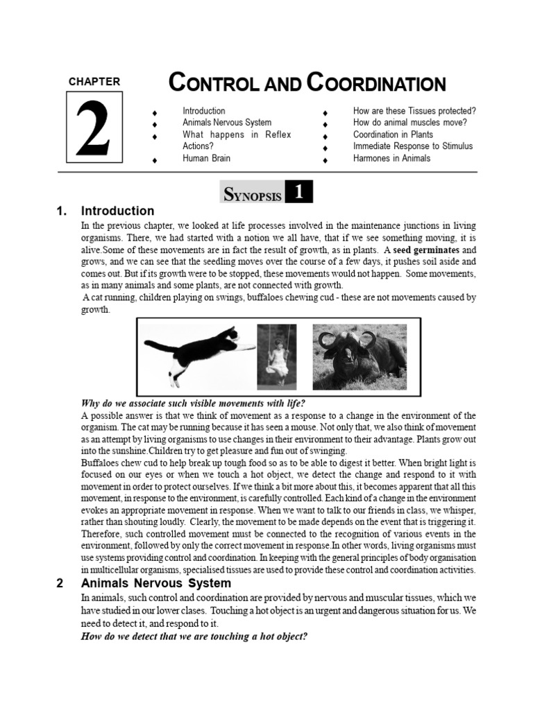 Control and Co Ordination | PDF | Endocrine System | Central Nervous System