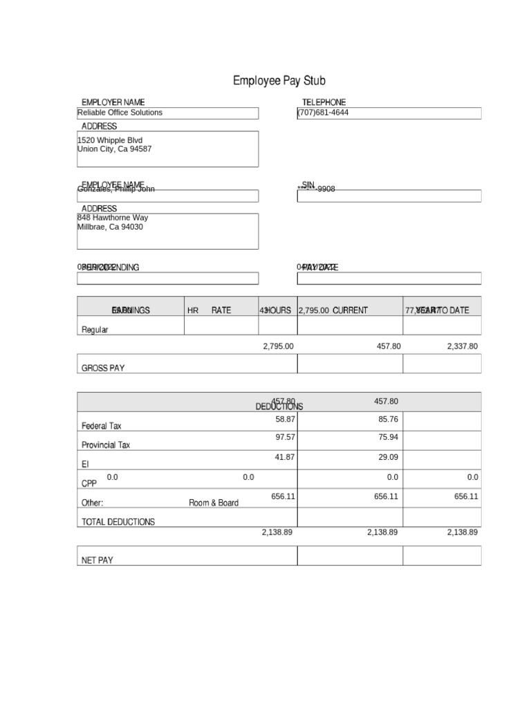 fillable pay stub pdf | PDF