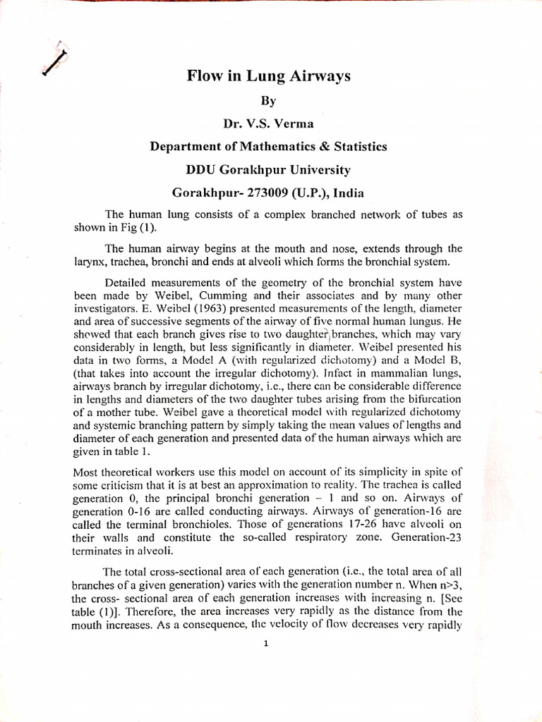 Flow in Lung Airways in English | PDF