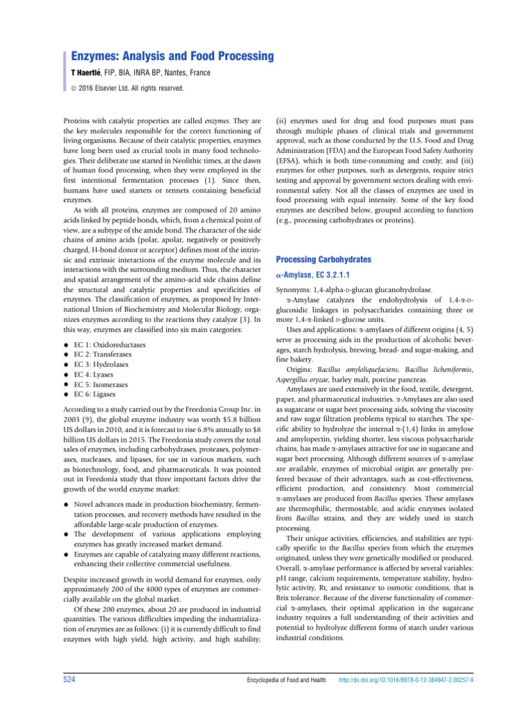 Enzymes in Food Processing Explained | PDF | Enzyme | Starch