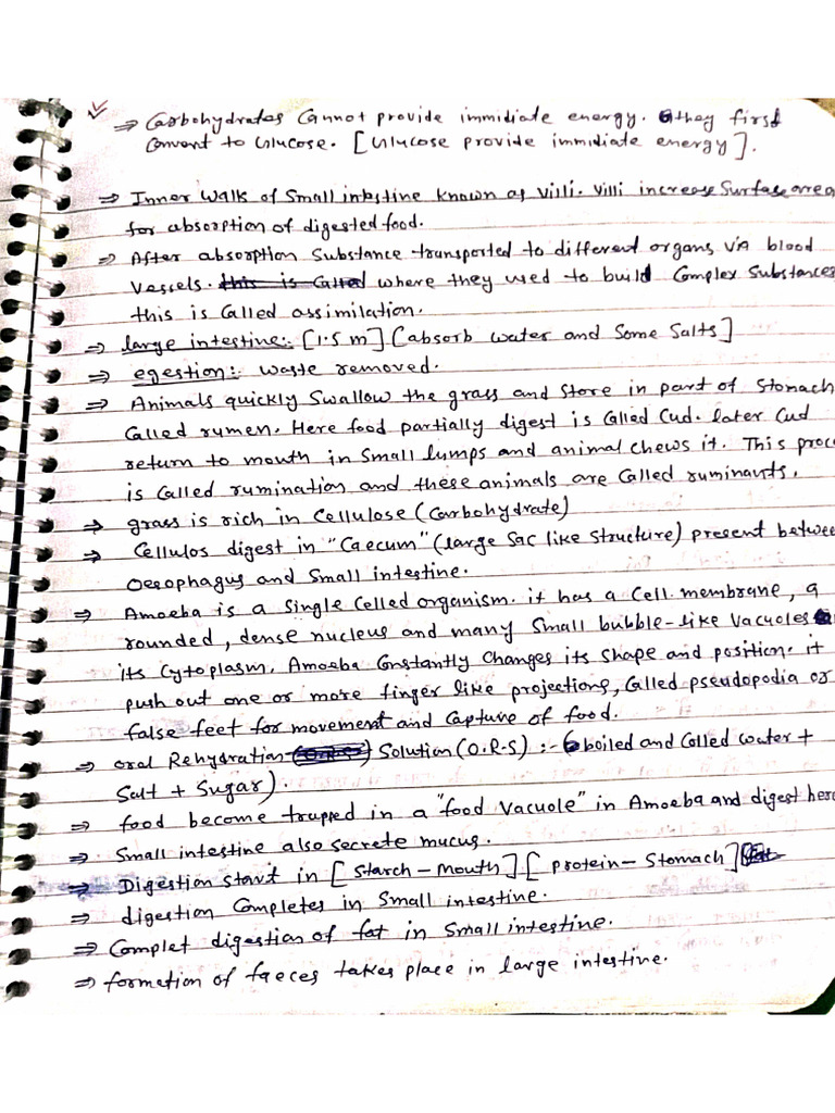 Ncert Class 7 Science Part 2 | PDF