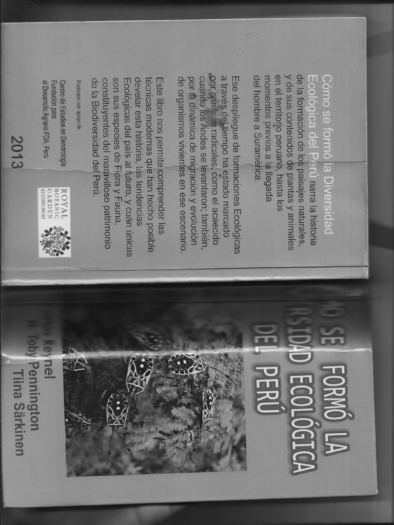 Reynel - 2013 - Como Se Formo La Diversidad Ecológica | PDF