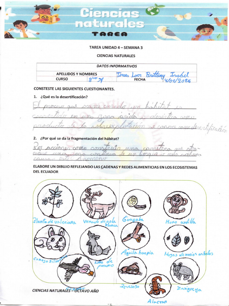 Ciencias Naturales Semana 3 Unidad 4 | PDF