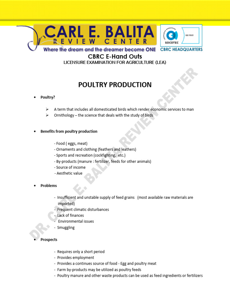 LEA HO ANSCI 1.1 Chicken Production | PDF | Poultry | Chicken