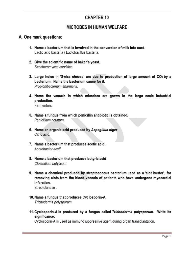 Microbes in Human Welfare A. One Mark Questions:: Lactic Acid Bacteria ...