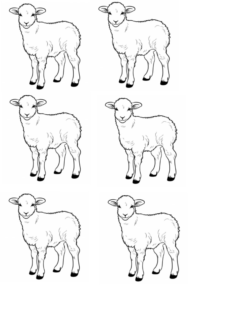 Kambing | PDF