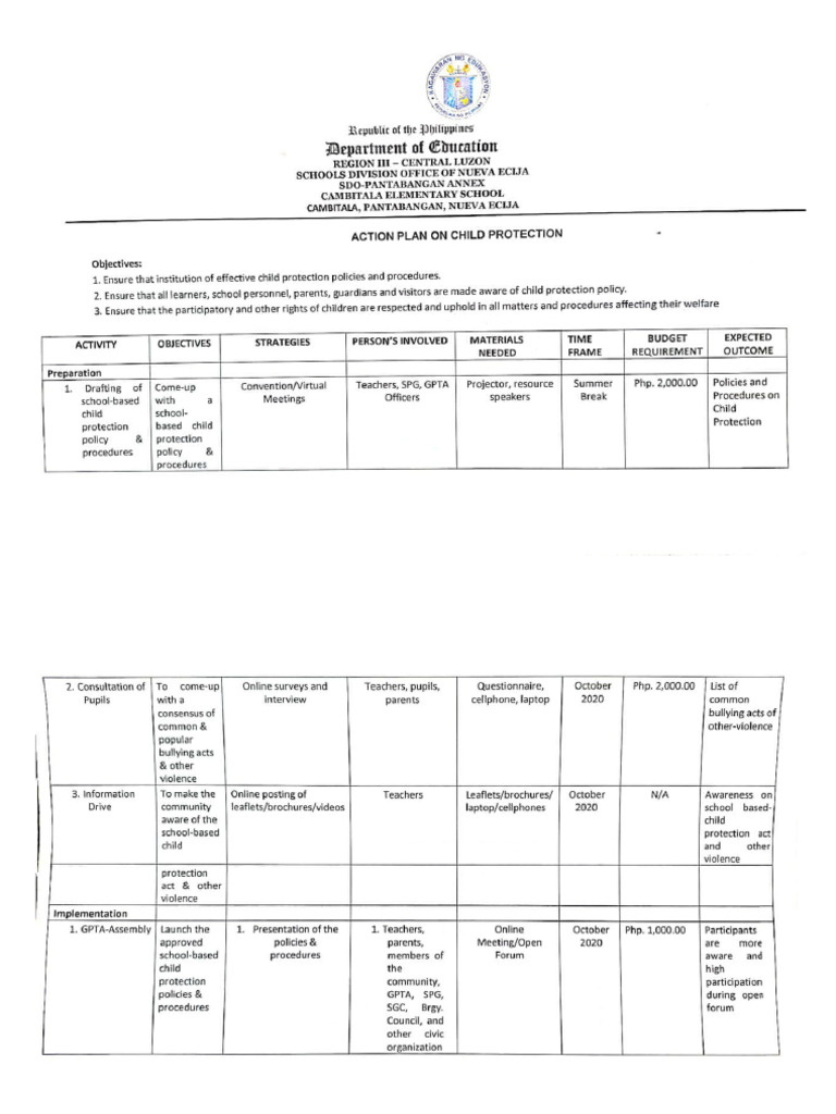 Action Plan On Child Protection | PDF