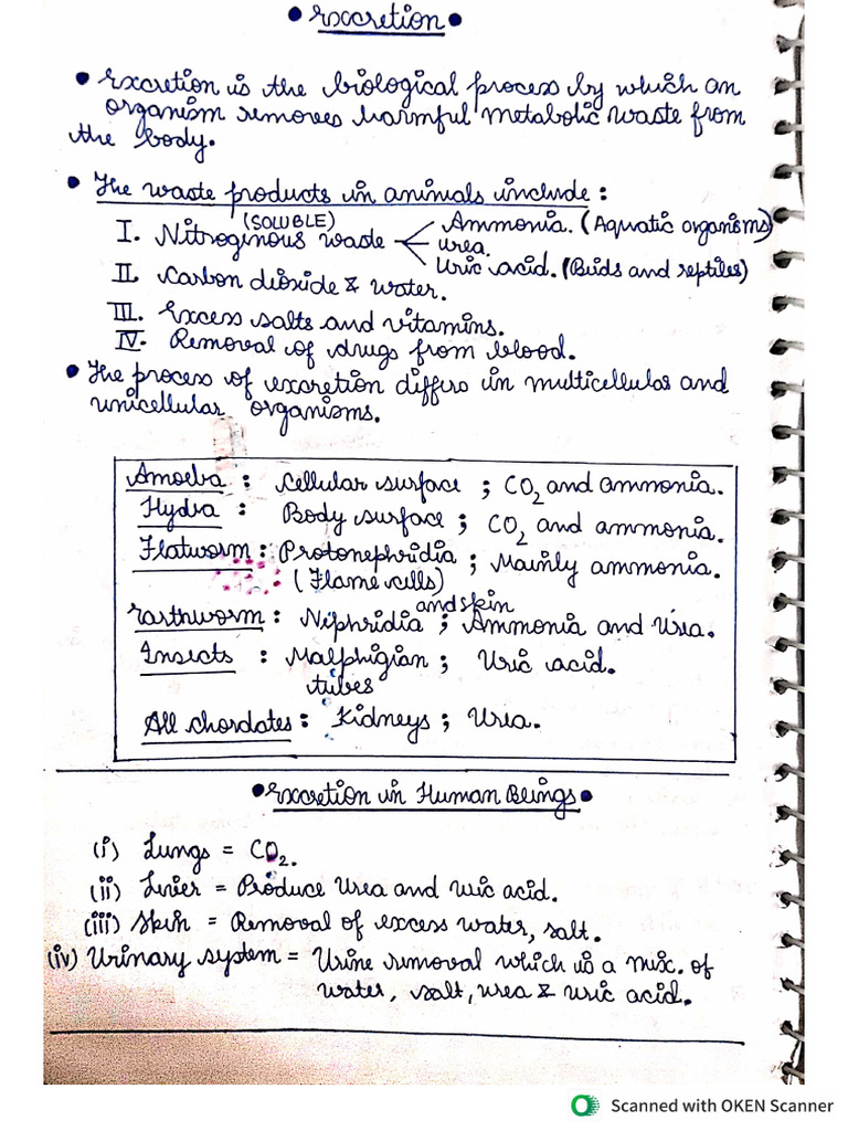 Basics of Excretion in Plants and Animals | PDF