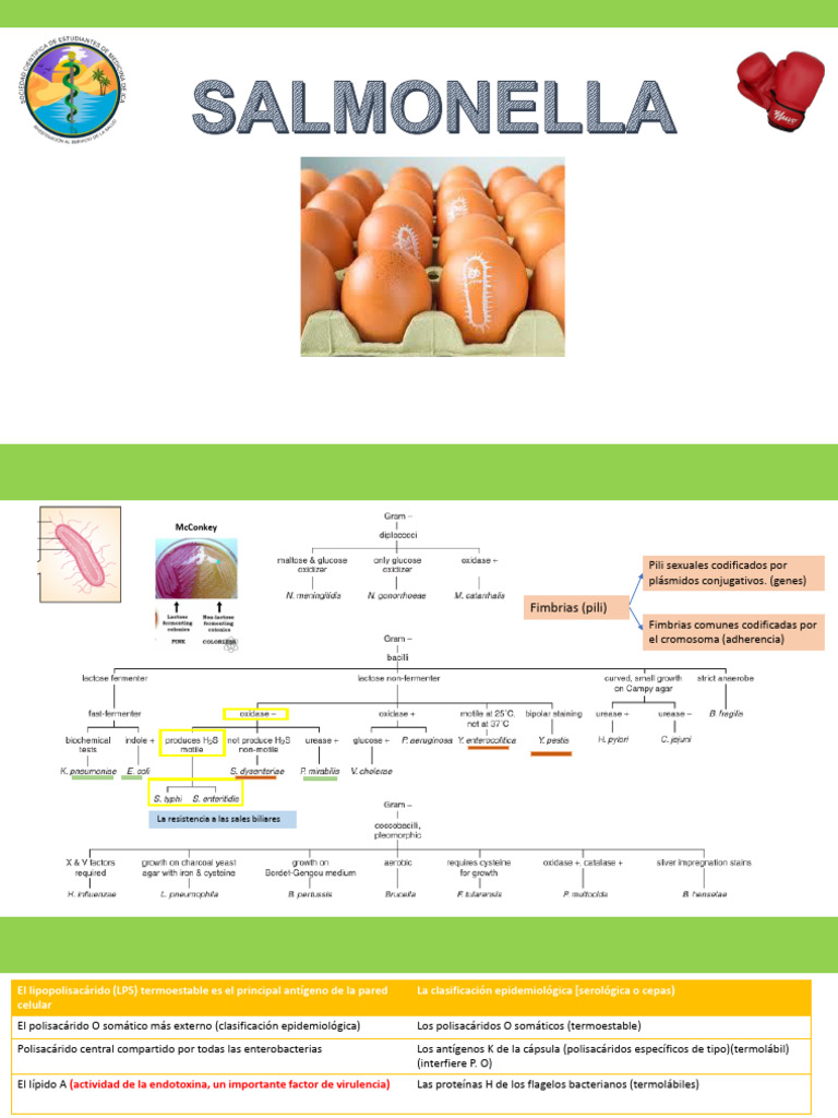 Salmonella Spp. - Alexander Parra | PDF | Salmonela | Medicina CLINICA