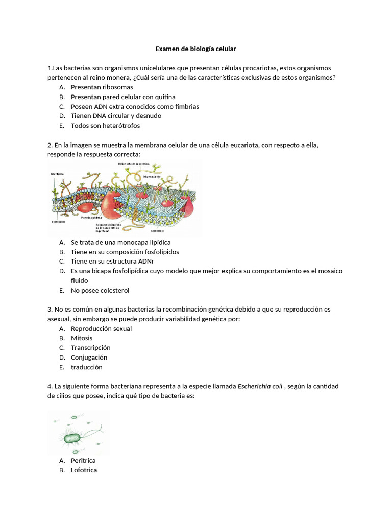 Examen I - Cito-Bioqui | PDF | Biología Celular) | Las bacterias