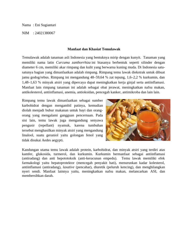 Khasiat Dan Manfaat Temulawak | PDF