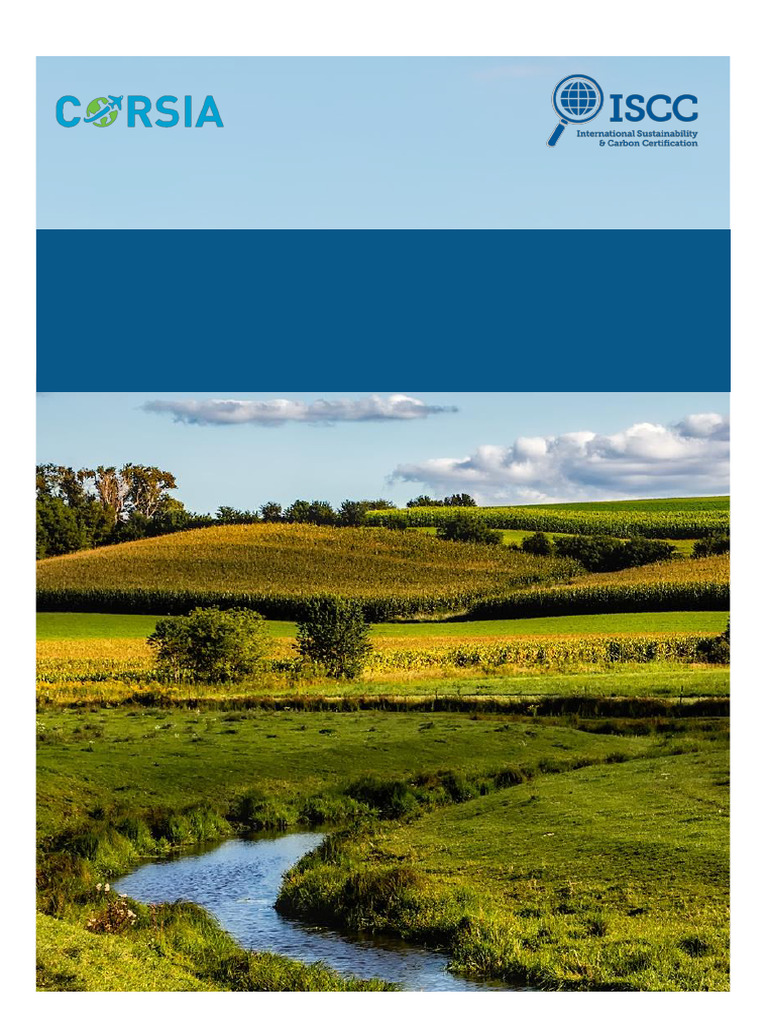 ISCC CORSIA 202 Sustainability-Requirements 2.0 | PDF | Forests | Grassland