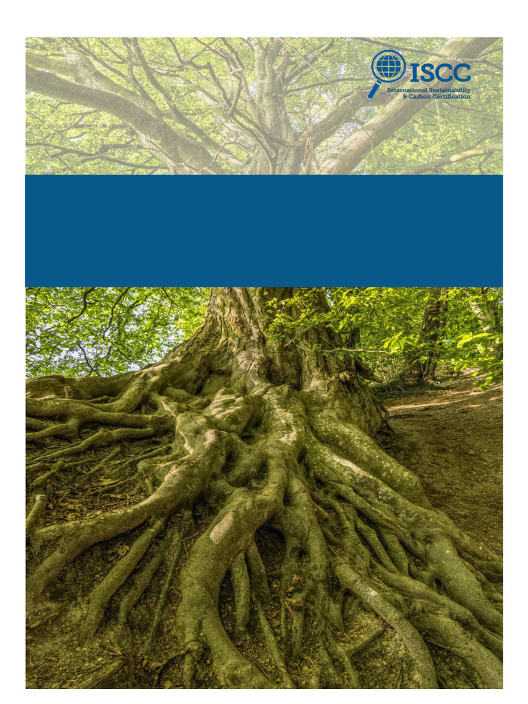 ISCC CORSIA 201 System Basics 2.0 | PDF | Audit | Life Cycle Assessment