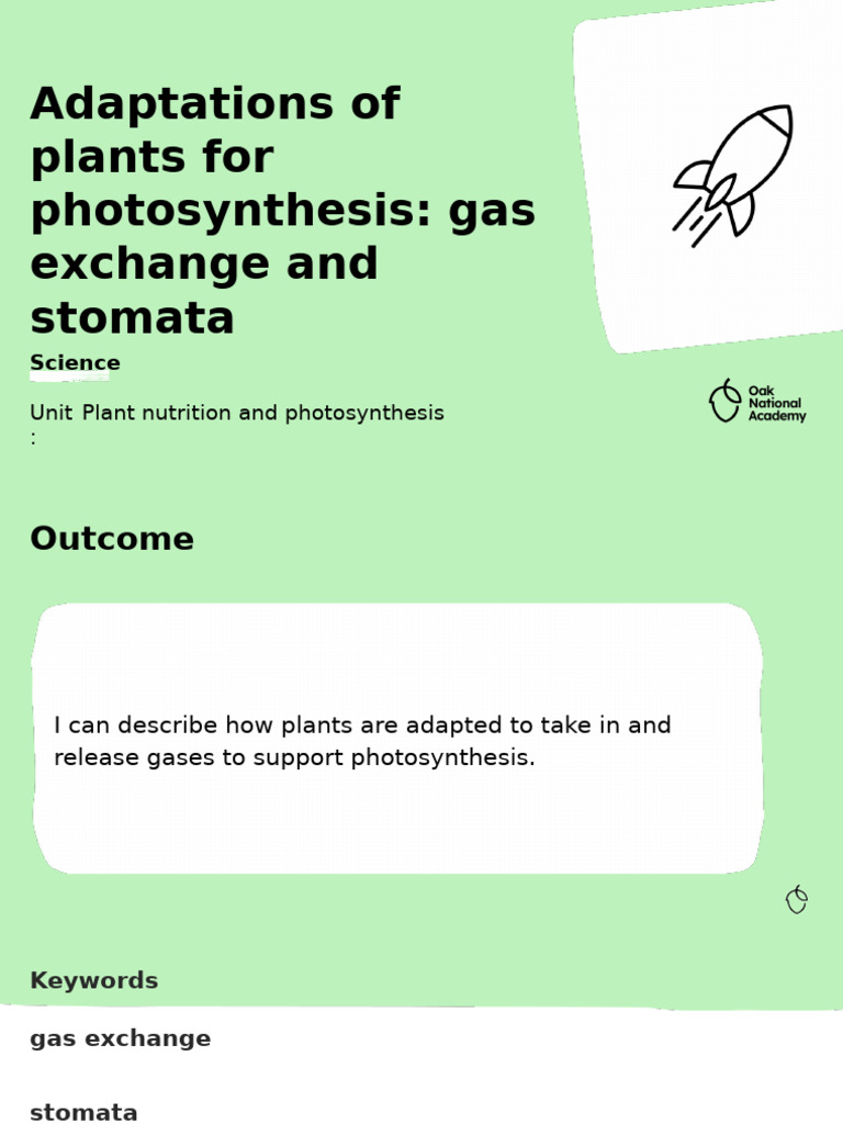 Plant Photosynthesis | PDF | Stoma | Photosynthesis