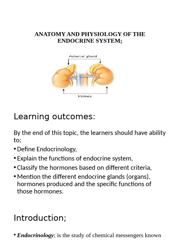 Endocrine System: Anatomy & Functions | PDF | Adrenal Gland | Kidney