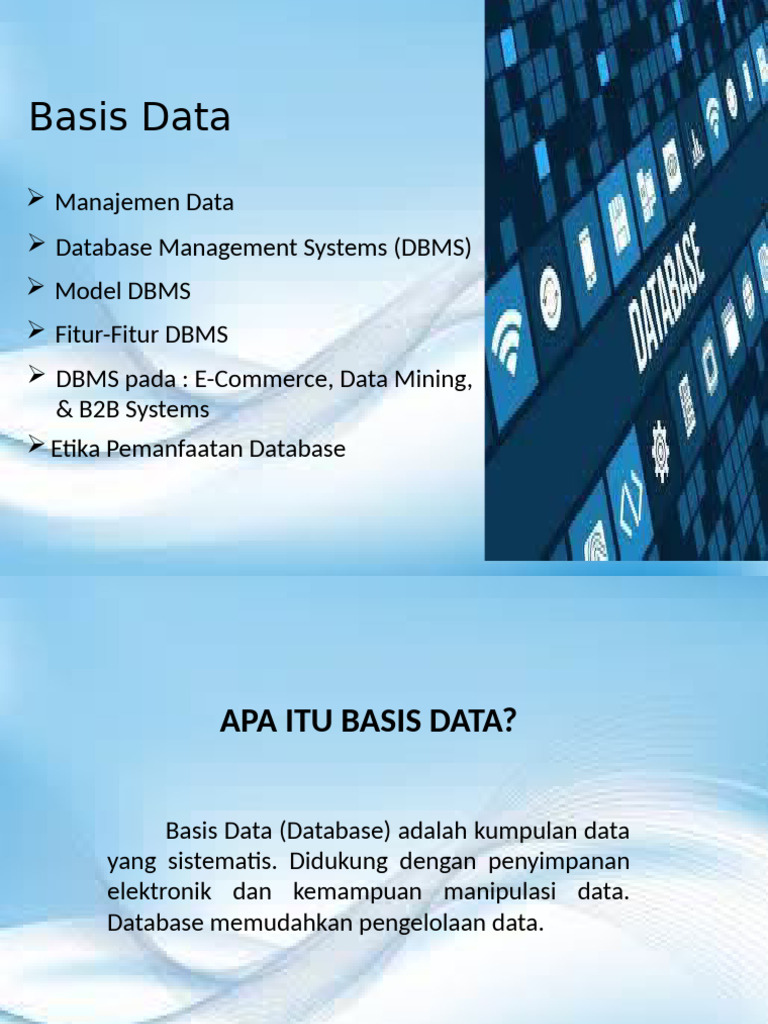 Pengantar Basis Data (SERDOS) | PDF