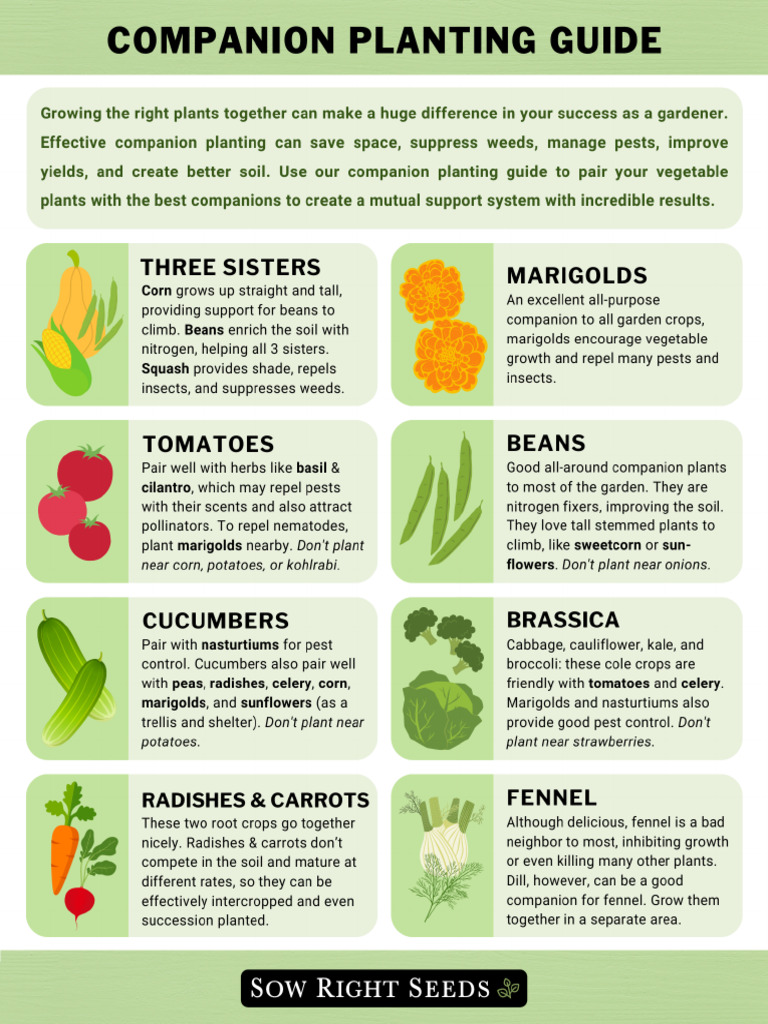Companion Planting Chart | PDF