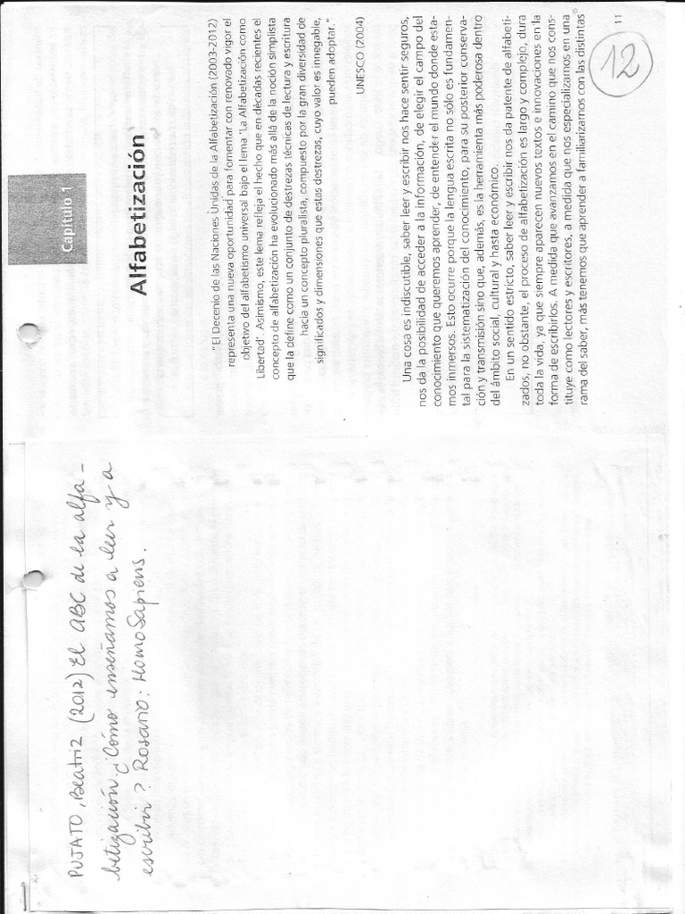 Pujato, Beatriz - El ABC de La Alfabetización | PDF