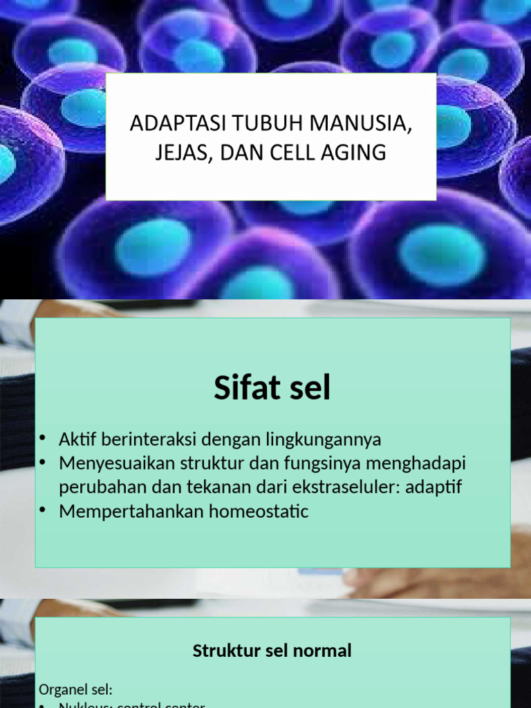 Adaptasi tubuh manusia, jejas, konsep aging, sel tubuh manusia | PDF