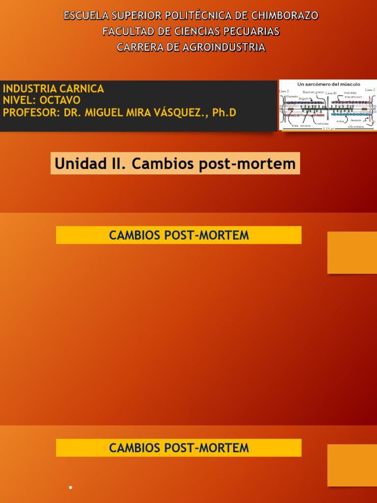 Cambios Post-Mortem 2-8 | PDF | Trifosfato de adenosina | Fosforilación