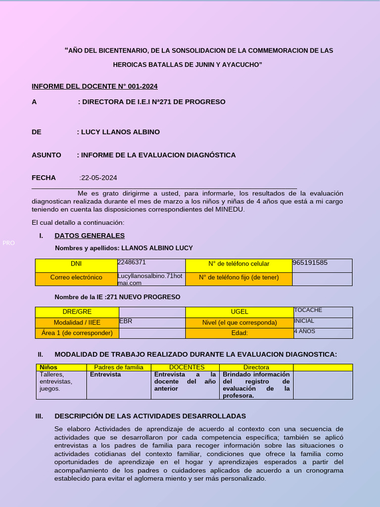 Lucy Informe Del Consolidado de La Evaluacion Diagnostica | PDF | Evaluación | Ciencia cognitiva