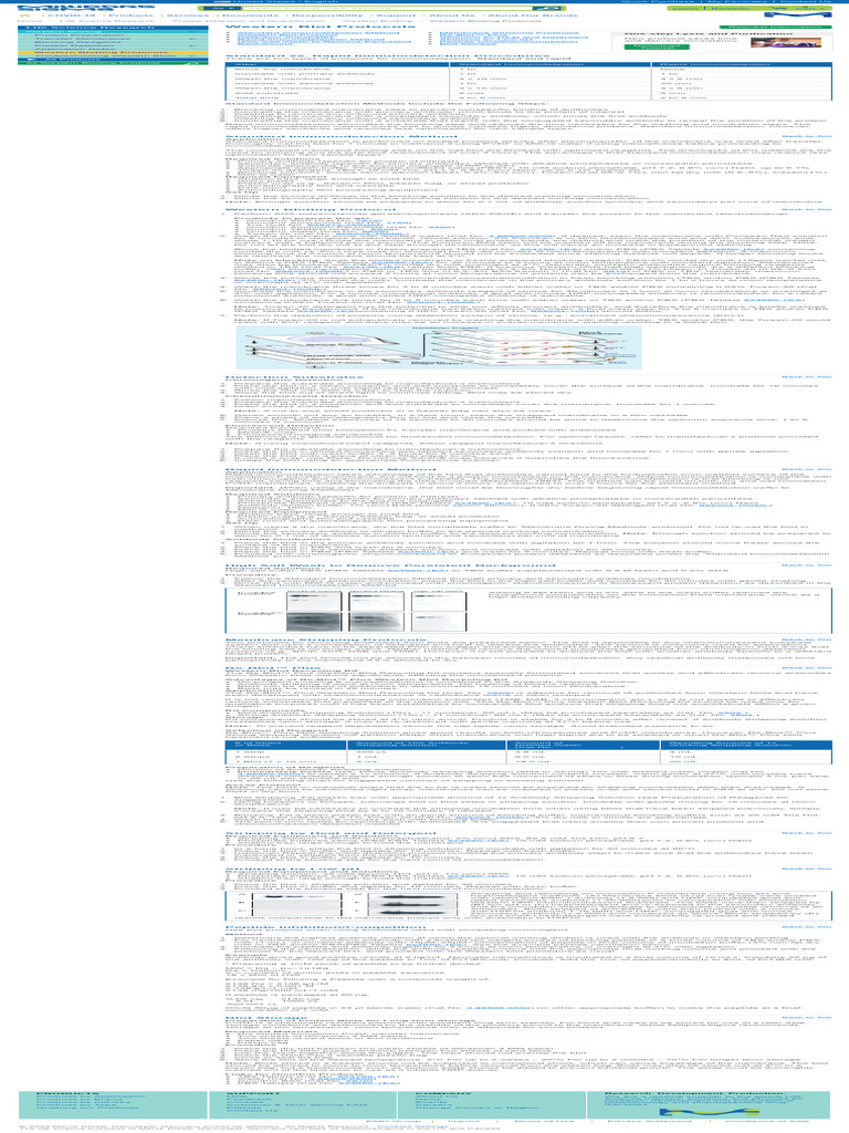 Western Blotting Protocols Life Science Researc | PDF | Western Blot ...