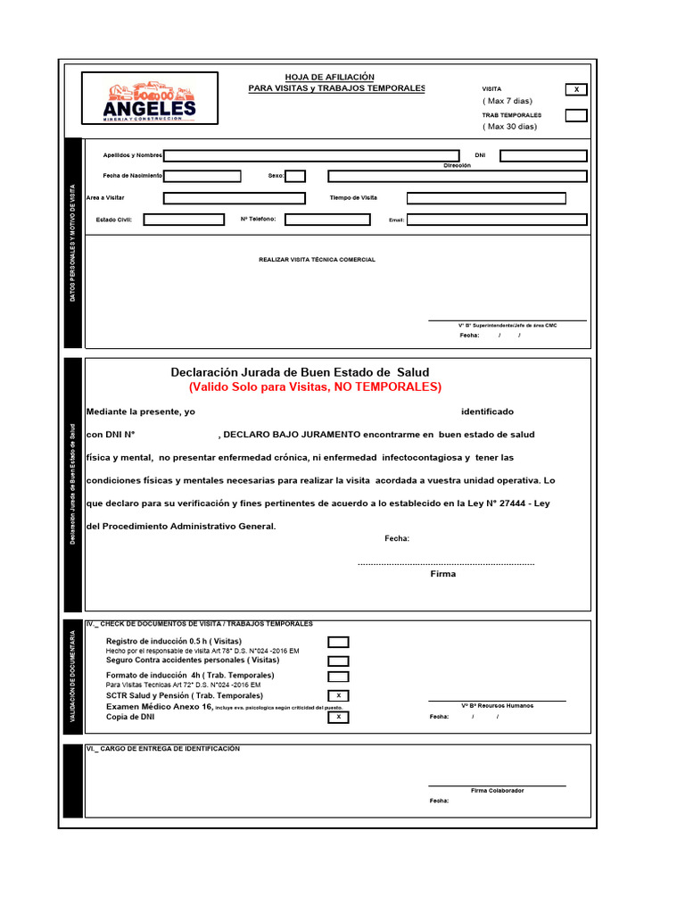 ANEXO N 03 - Formato | PDF