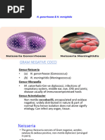 Gram Negative Cocci Flow Chart | PDF | Gram Negative Bacteria | Prokaryote