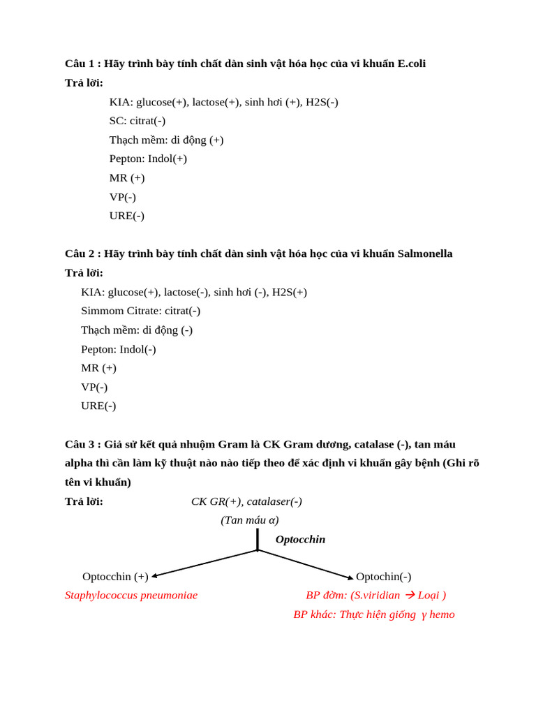 355.QĐ - BYT Phuluc | PDF