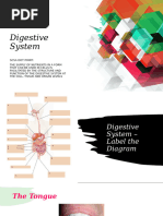 Blank 4 Panel Comic Strip | PDF | Biology | Digestive System